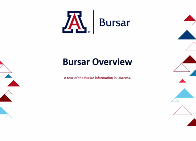 Bursar Overview