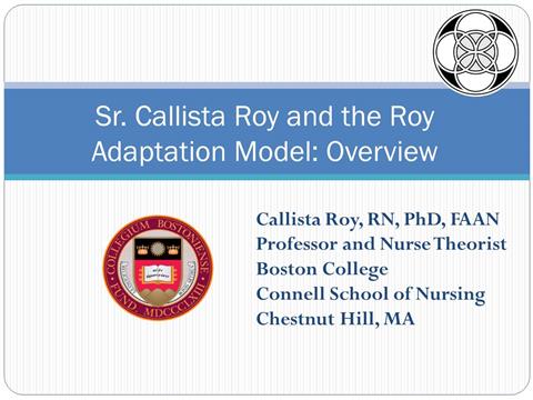 Sr. Callista Roy and the Roy Adaptation Model: Overview
