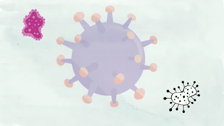 Gram + Bacteria and Antimicrobial Therapy