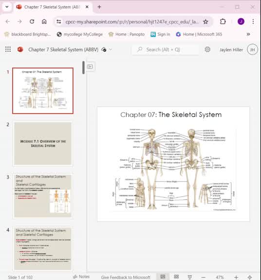 Chapter 7 Skeletal System pt 1 (Axial)