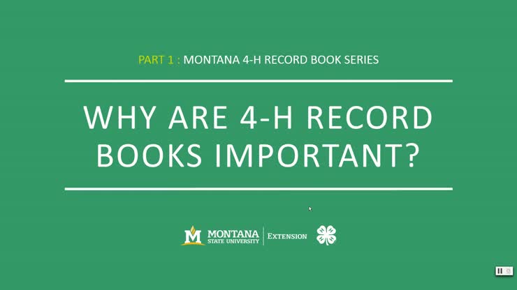 Why are 4-H Record Books important?