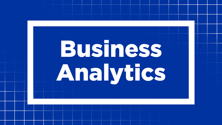 BUSSTAT Business Analytics Bumper