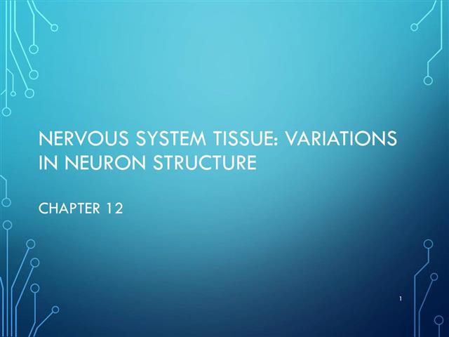 Variations in Neuron structure