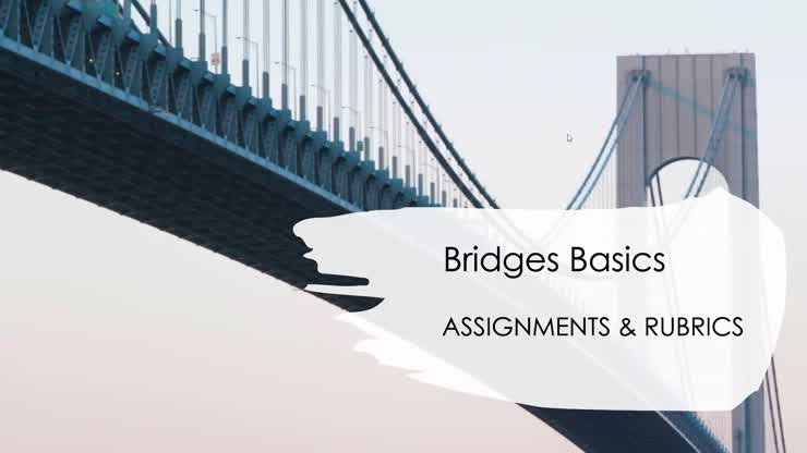 Bridges Basics: Assignments & Rubrics