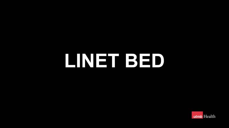 Linet Bed