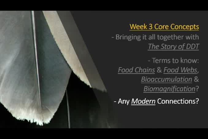 Wk 3 - DDT Story part 2