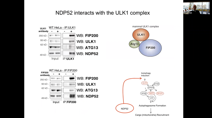 Richard Youle- 04/12/2023