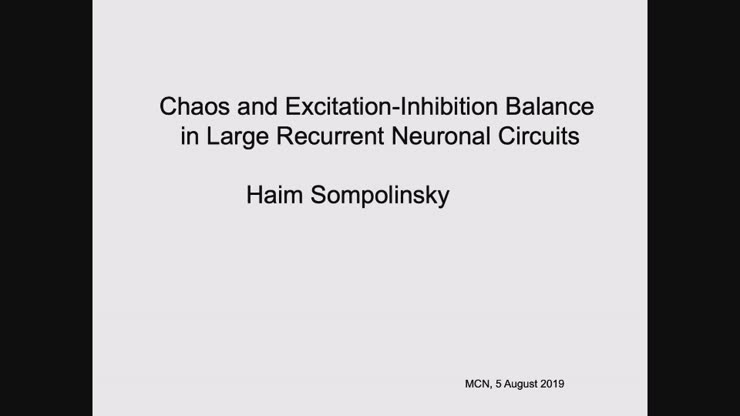 H. Sompolinsky: Chaos and excitation-inhibition balance in large ...