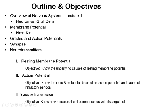 2-1: Introduction to Neurons