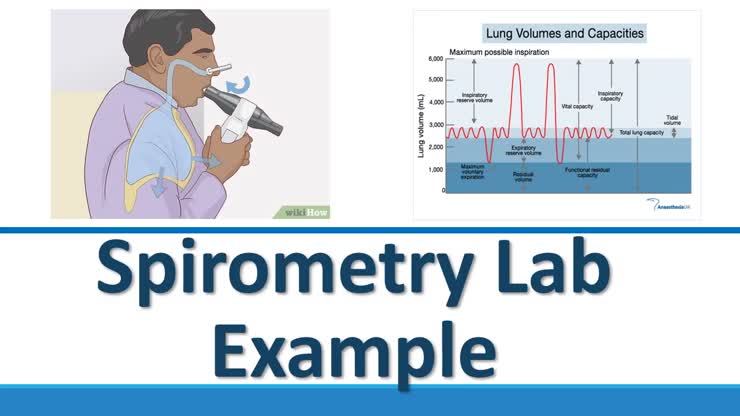 Ex Phys 2 - Lab 4 - Spirometry Lab (Online) - Narrated Example