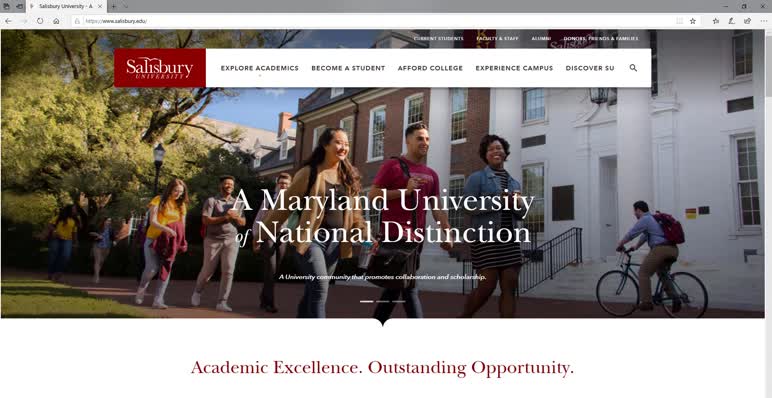 Logging into GullNet Video