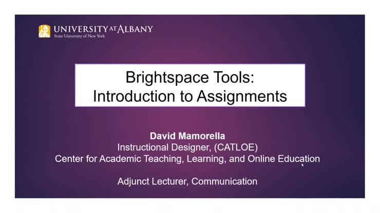 Introduction to Assignments