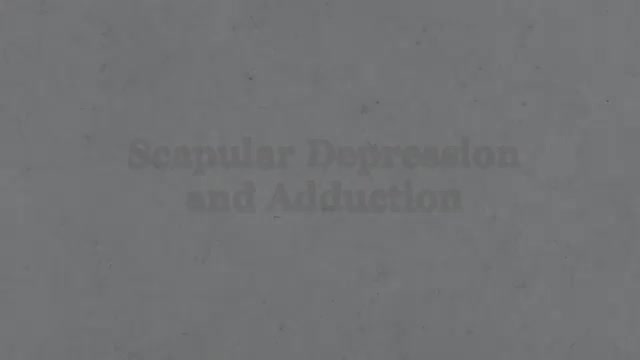 Scapular Depression and Adduction