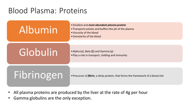 Albumin Correction