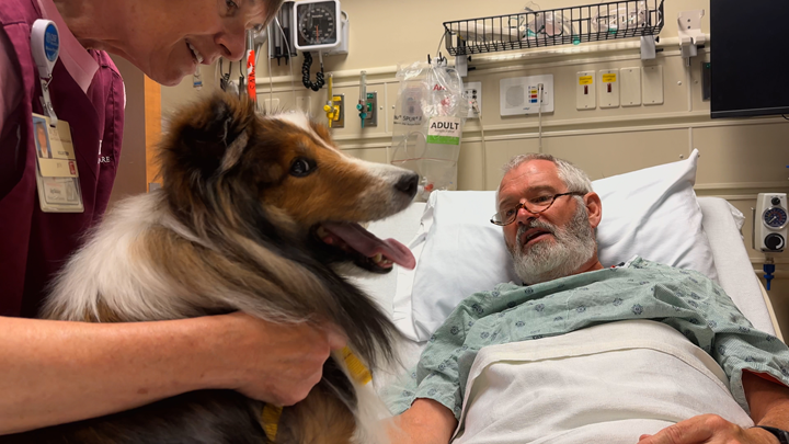 Paws 4 Healing Volunteer Video