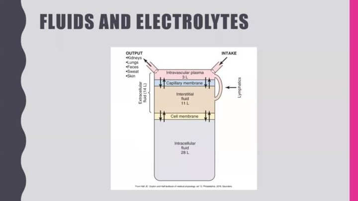 Recording Fluids Workshop