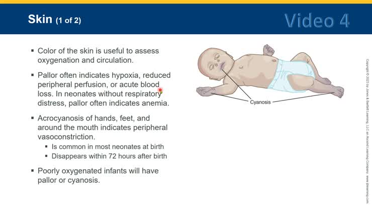 4. Skin Assessment