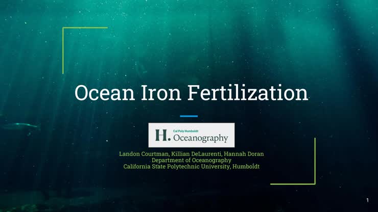 Ocean Iron Fertilization - Doran Courtman DeLaurenti (1)