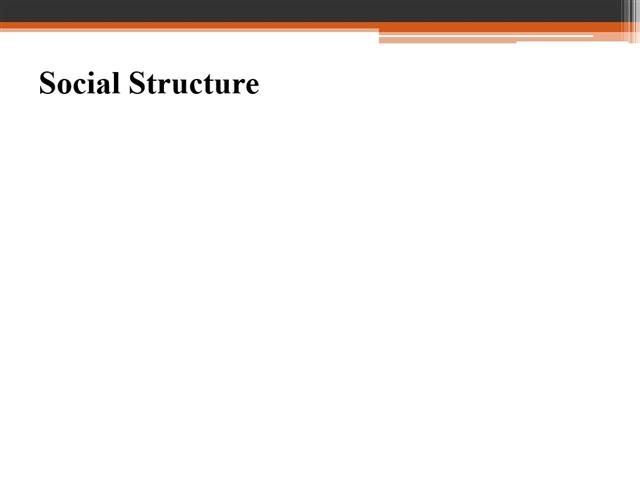 Social Structure Defined