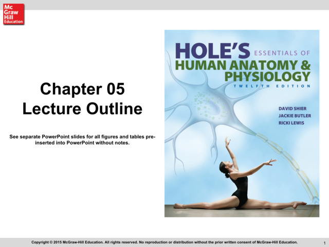 Skeletal slide fillers