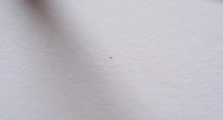 Canvas Fundamentals Getting Started