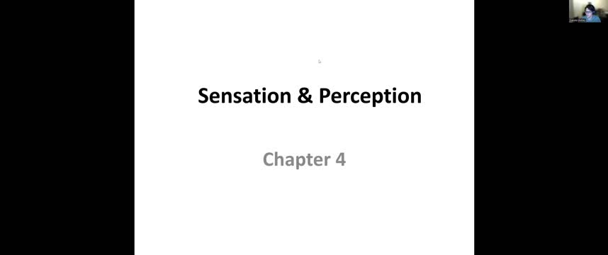 Sensation and Perception Part 2