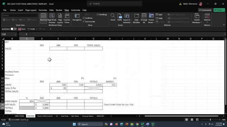 How to Open an Identical Work and Move & Copy Worksheet using a Budget ...