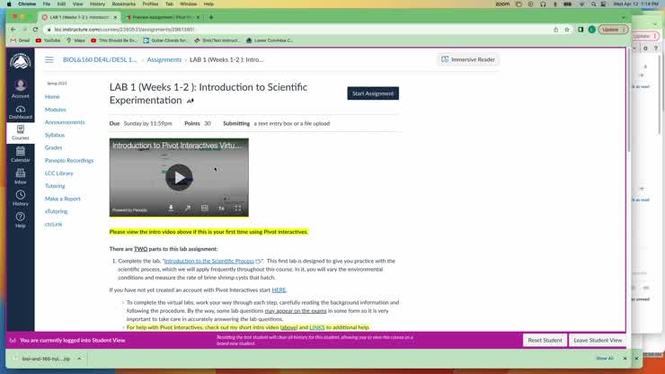 Pivot labs and Module Quizzes