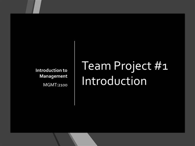 Team Project #1 Introduction Video