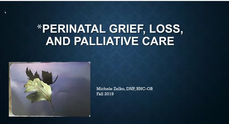 Perinatal grief, loss and palliative care