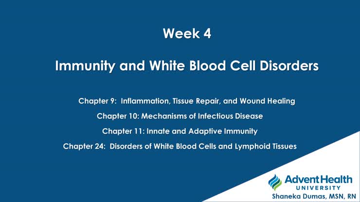 Week 4 Pre-Recorded Lecture
