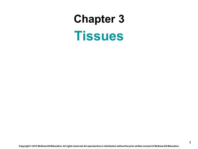 Tissues Slides 51-55