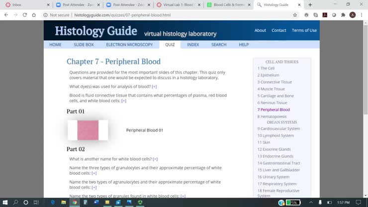 Navigating HistologyGuide.com for the Electron Microscope and Quiz areas (blood)