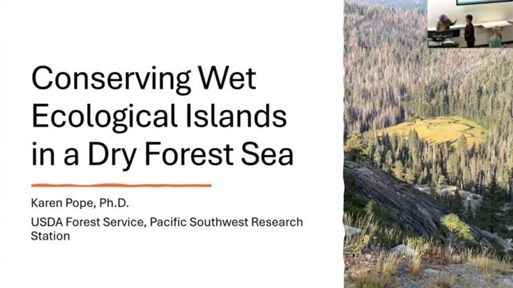 Ecoseries 27 March 2025 Karen Pope