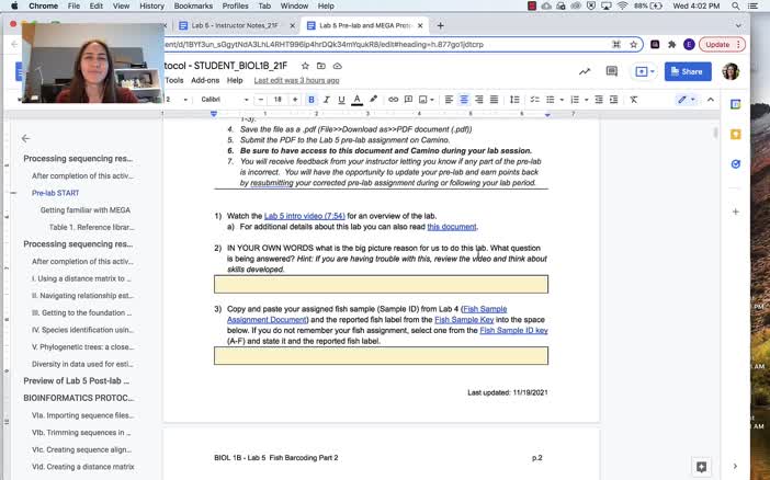 MEGA11 tree building