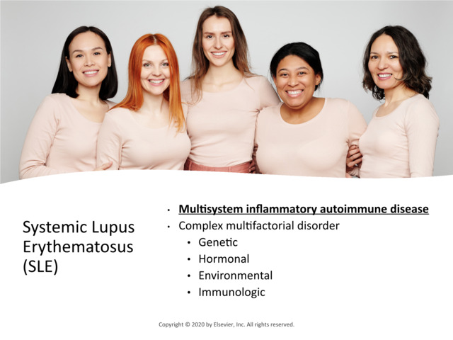 Chapter 64: Systemic Lupus Erythematosus (SLE)