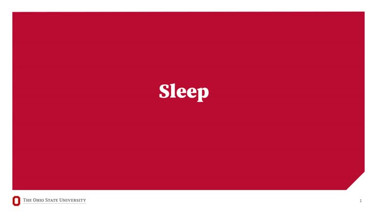 Sleep, Lecture 3