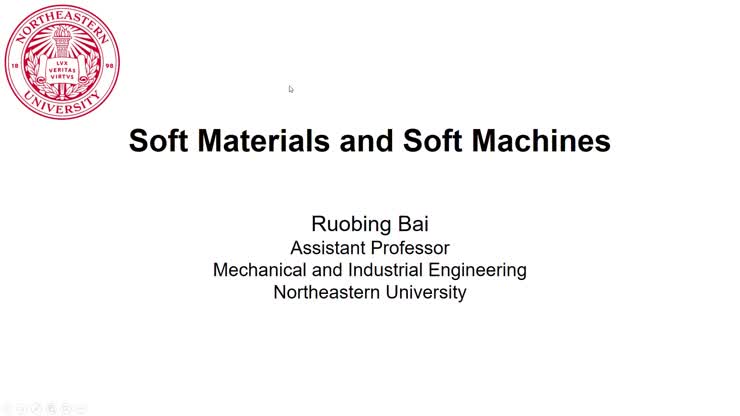 Ruobing Bai (YSP - 2021)