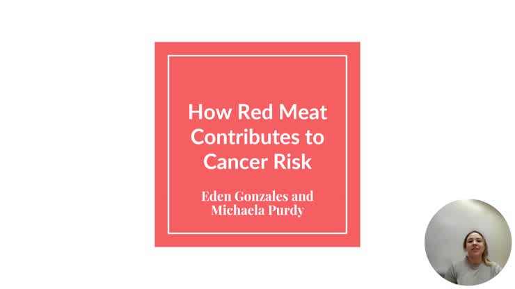 Red Meat and Cancer Risk FINAL