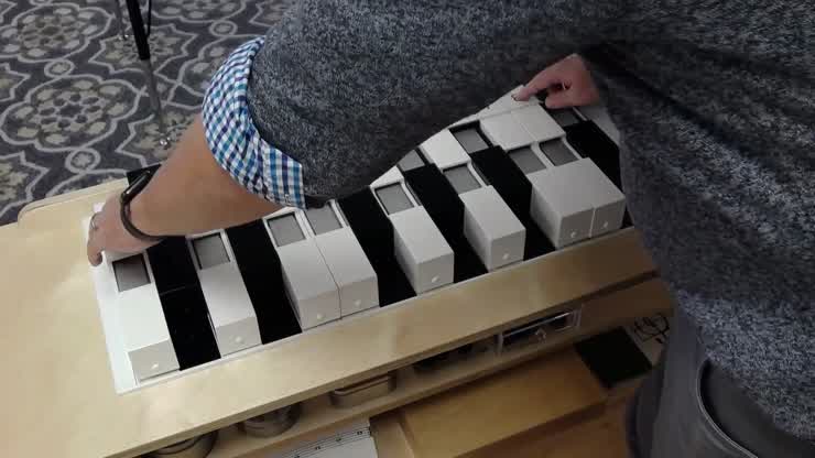 Singing with the Scale (C Major Scale)