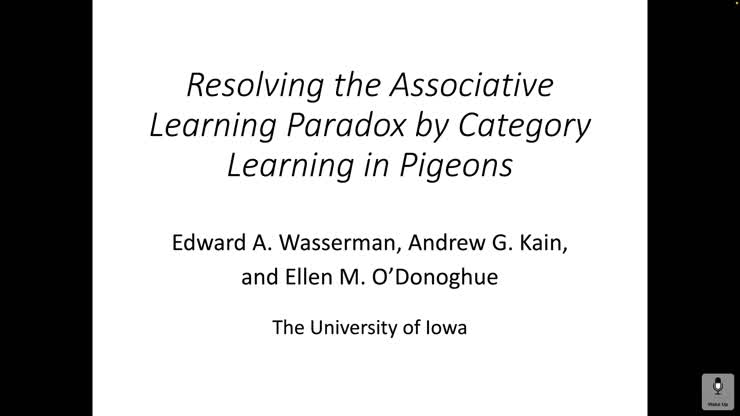 Resolving the Associative Learning Paradox