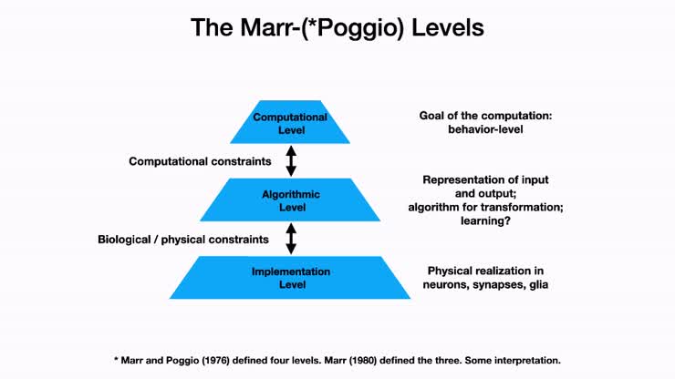 J. Tenenbaum - Bridging from circuit neuroscience to human cognition ...