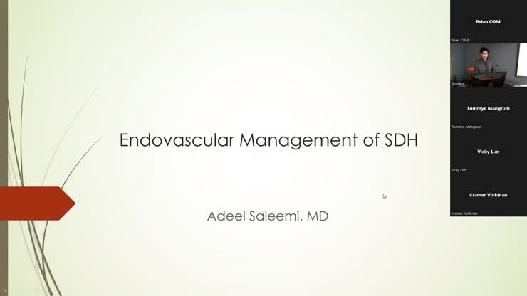 SALEEMI Endovascular Management of SDH NGR 02 14 2023