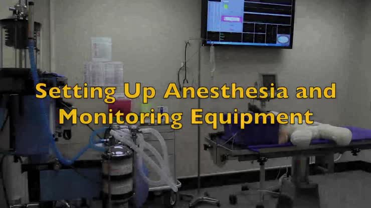 Setting Up Anesthesia and Monitoring Equipment