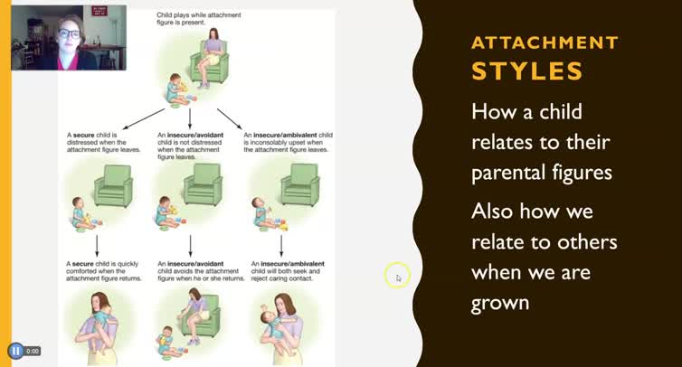 Development 2 - Attachment & Parenting Styles