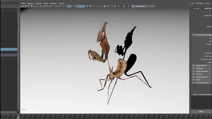 Animation Highlights