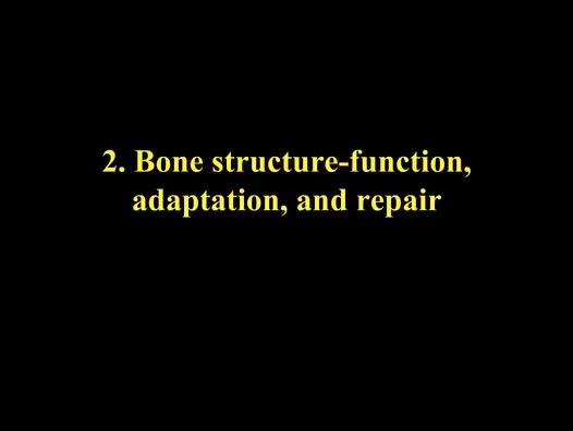 Tissue Module 3: Bone