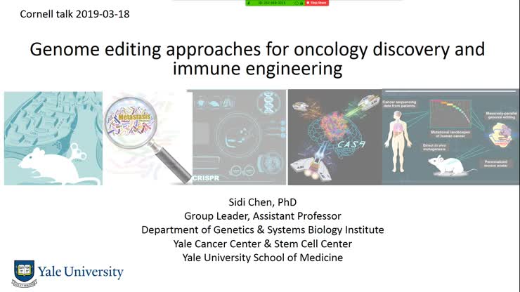 2090318_BSCB_Sidi Chen