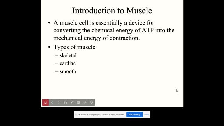 Introduction to Muscle