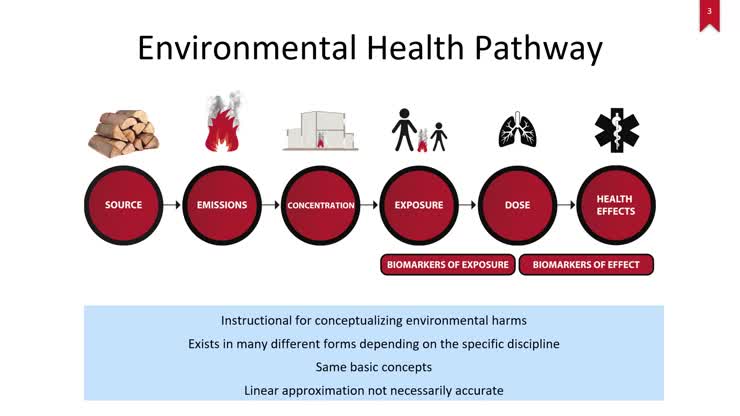 EH500 2A Environmental Health Frameworks